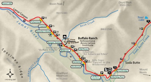When and Where to See Wolves - Yellowstone Insider