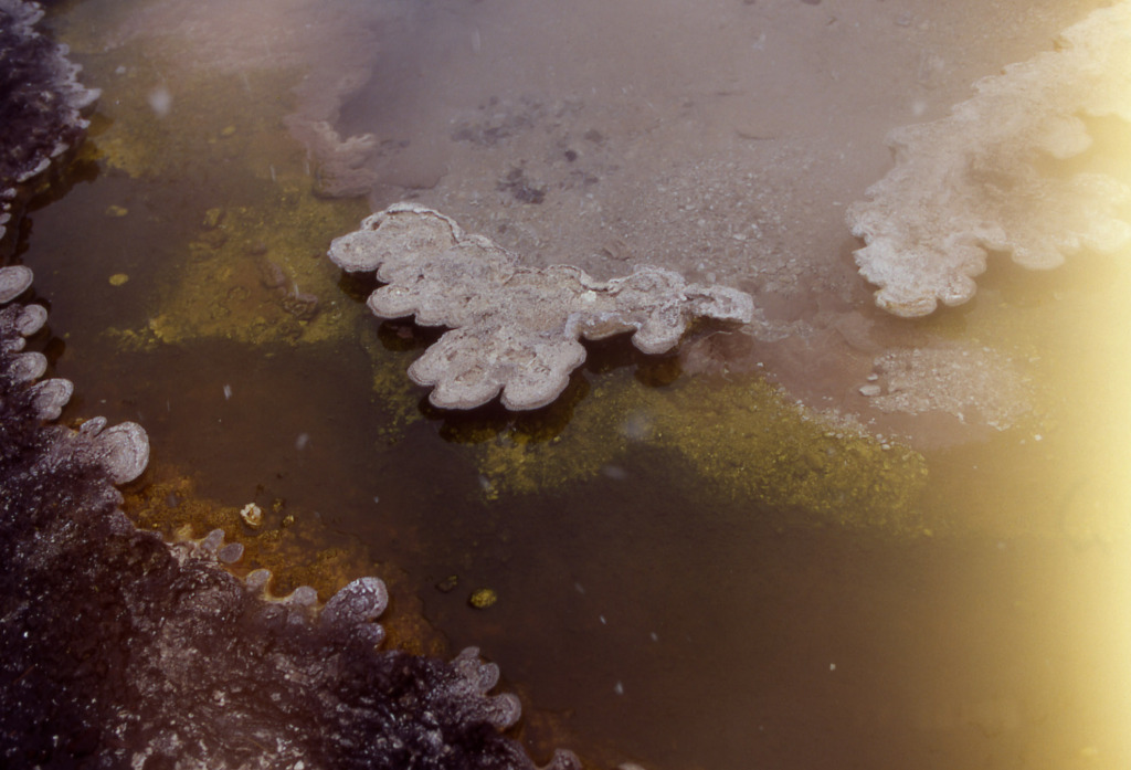 Yellowstone enzymes key in Ebola diagnosis tool - Yellowstone Insider