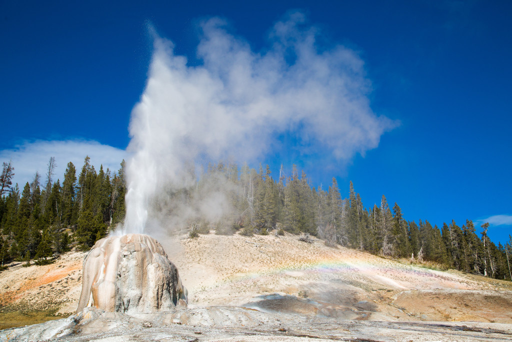 Yellowstone Spotlight: Lone Star Geyser - Yellowstone Insider