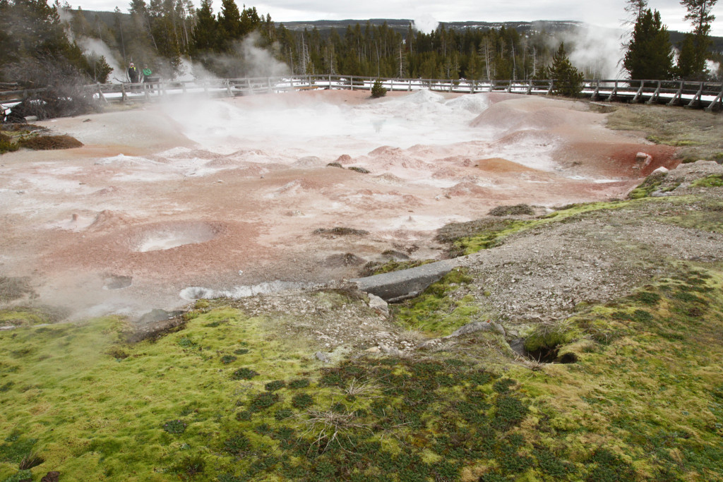 Yellowstone Spotlight: Fountain Paint Pot - Yellowstone Insider