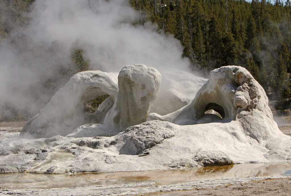 Old Yellowstone: History of Grotto Geyser - Yellowstone Insider