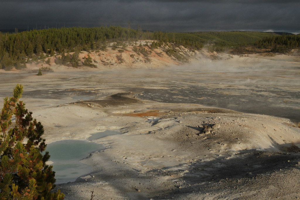 Exploring Norris Geyser Basin - Yellowstone Insider