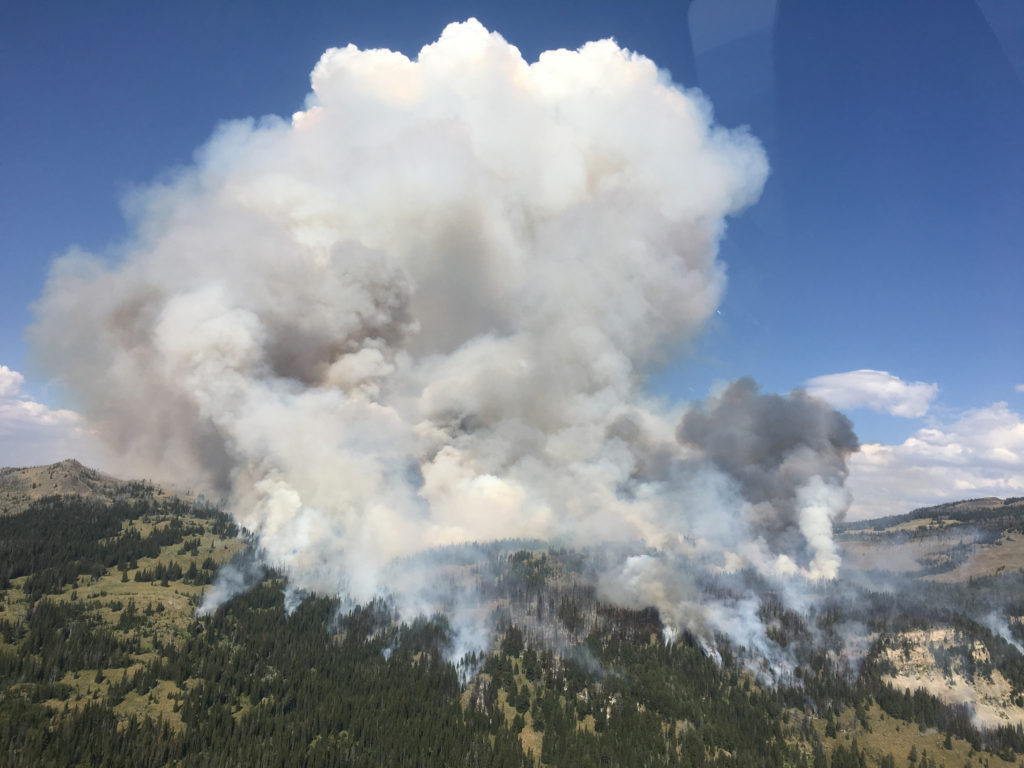 Fawn Fire Grows To Over 900 Acres - Yellowstone Insider