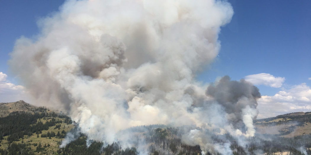 Fawn Fire Burning On 500 Acres In Northwest Yellowstone - Yellowstone ...