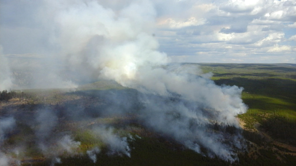 Buffalo Fire Discovered Burning Northwest of Tower Junction In ...