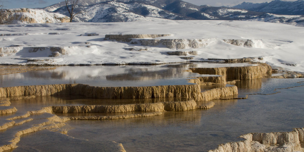 A Look at Spring Conditions in Yellowstone National Park - Yellowstone ...