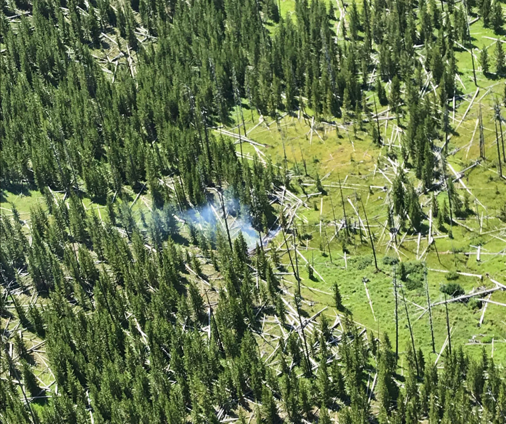 New Yellowstone Fire Emerges; Bacon Rind Fire Keeps Growing, Albeit ...