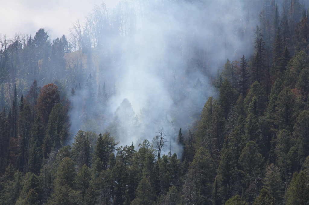New Yellowstone Fire Emerges; Bacon Rind Fire Keeps Growing, Albeit ...