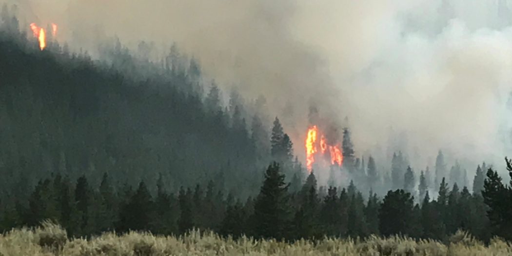Bacon Rind Fire Expands to 1,838 Acres - Yellowstone Insider