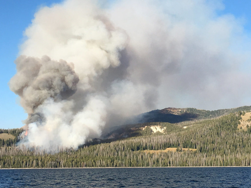 Brimstone Fire Expands to 80 Acres Overnight - Yellowstone Insider