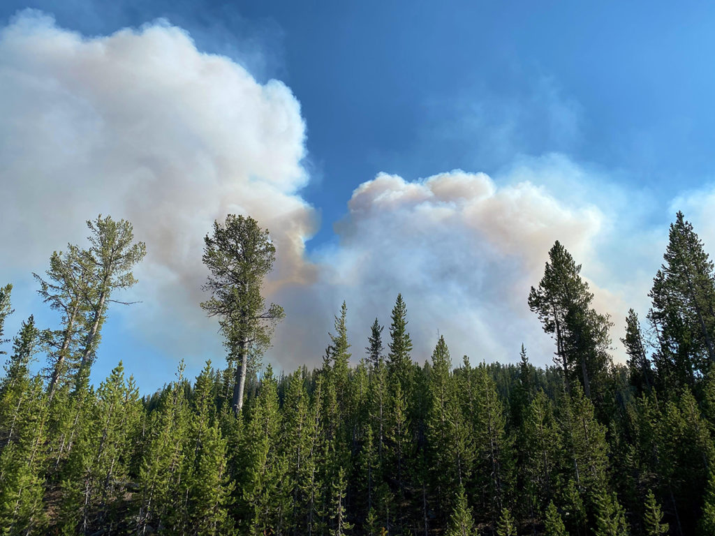 Still no Lone Star Fire growth, but spread expected - Yellowstone Insider